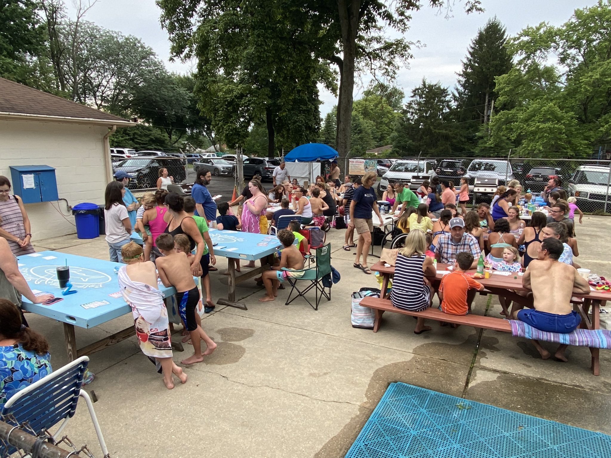 Member Info | Fair Blue Swim Club